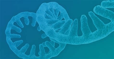 Sequencing 101 Whats The Value Of Sequencing Full Length Rna Transcripts Pacbio