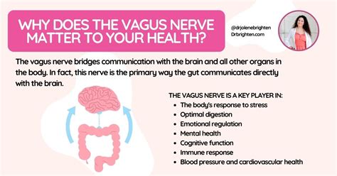 Vagus Nerve Massage How To Stimulate The Vagus Nerve
