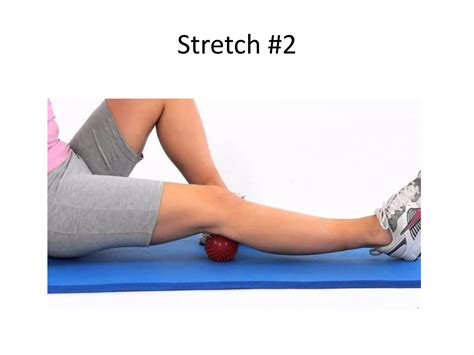 Popliteus Exercises And Stretches Pptx