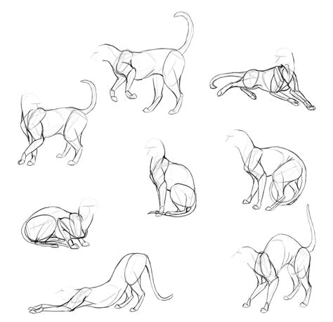 Cat Sketch Step By Step At PaintingValley Explore Collection Of Cat Sketch Step By Step