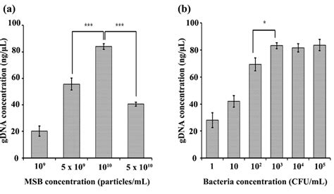 Effect Of Msb And Bacteria Concentrations On Dna Purification On The