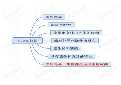 七上生物各单元思维导图 便于考生总结、复习、理解、记忆 知乎