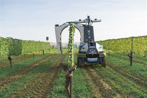 Robots Are Ready For The Vineyards Gofar