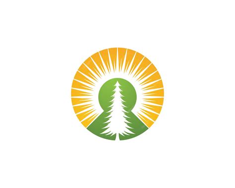 Premium Vector Cedar Tree Logo Template