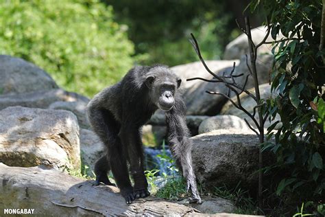 Adaptive Behaviors Are Not Enough