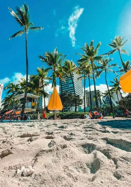 Waikiki Beach Pictures Download Free Images On Unsplash