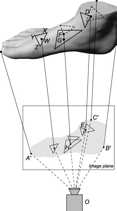 Occluded Points Are Estimated By Investigating The Relationship Between