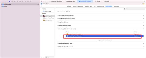 ADS Does Not Work On IOS SDK Tried To Perform A Networking Task Before Being Initialized