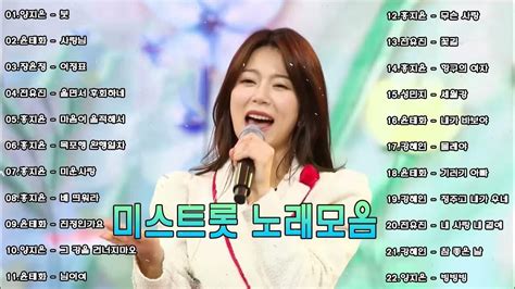 미스트롯 노래모음 청춘 트로트 모음 인기 트로트 모음 트로트 신곡 메들리 양지은 붓 윤태화 사랑님 장윤정 이정표 전유진 울면서