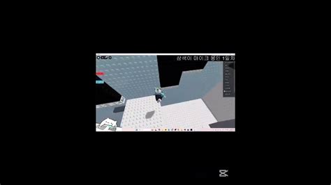 월홉 뉴비 1일차 Youtube