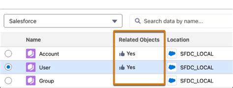 Salesforce Data Analytics Extract