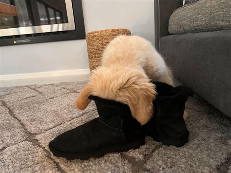 She Wanted A Sniff R Aww