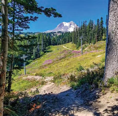Summer Is On At Mt Hood Meadows Issuu