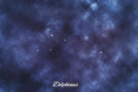 Premium Photo Delphinus Star Constellation Brightest Stars Dolphin Constellation