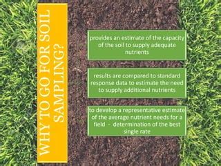 Soil Sampling Techniques And Soil Health Management PPT