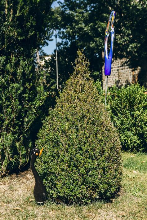 Zu Besuch Bei Issa Rammo Clan Chef Hält Abschiebung Für „beste Lösung Welt