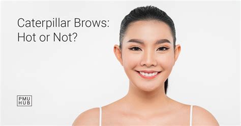 Tadpole Eyebrows Tadpole Eyebrows