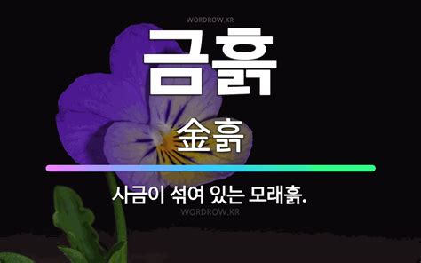 🌟금흙 사금이 섞여 있는 모래흙 표준국어대사전