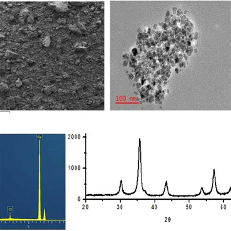 sem left tem right eds bottom and xrd pattern of fe3o4