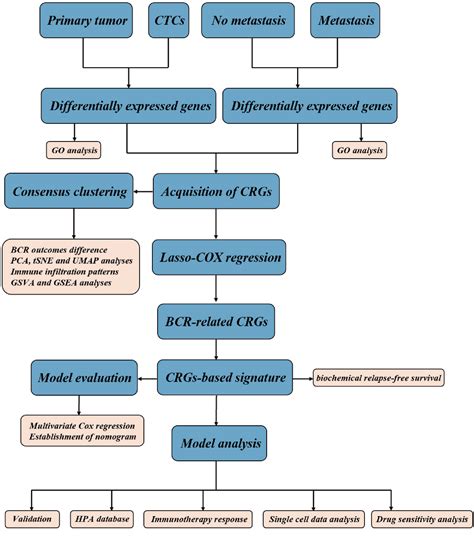Figure 1 From Development And Validation Of A Circulating Tumor Cells