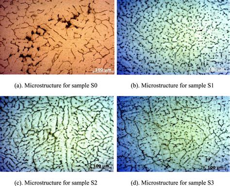 Ad Microstructure Of Fabricated Samples Download Scientific Diagram