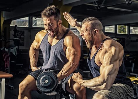 Putting Together The Perfect Stack For Your Bulking Cycle Uk Steroids