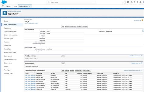 Creating A Custom Path In Salesforce By Yosef Kroupenin Dec 2022