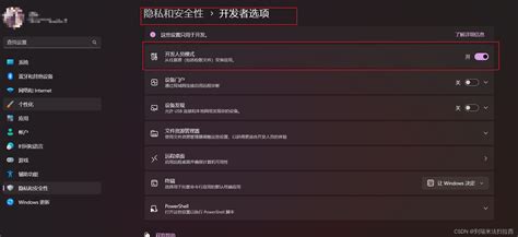 win10 wsl2 ubuntu图像化界面安装和配置 wsl ubuntu图形界面 csdn博客