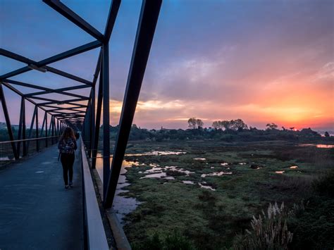 무료 이미지 자연스러운 식물 구름 햇빛 황혼 나무 잔광 대기 현상 해돋이 일몰 수평선 경치 시티 새벽 아침에 붉은 하늘 저녁 여가 비