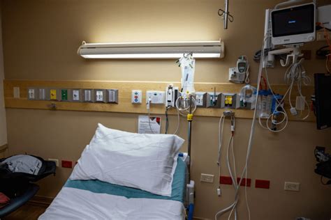 How To Donate Bone Marrow A Complete Step By Step Guide Liv Hospital