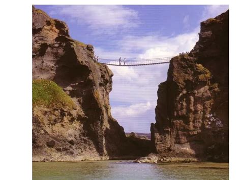 PPT Tree Of Life PowerPoint Presentation Free Download ID