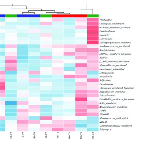 Bacterial Community Composition And Their Hierarchical Clustering In