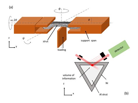 Schematic Representation Of The Experimental Setup A The Strut Is