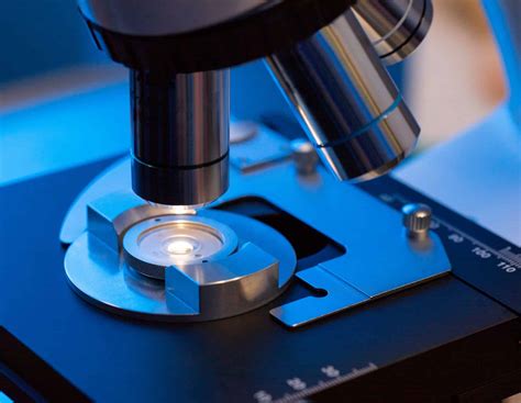 Spermogramme Gynécologie Et Infertilité Dr Fabien Krief Paris