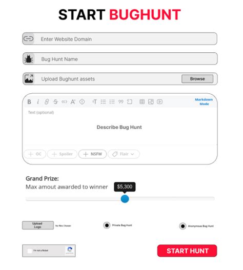 start bughunt page with private bug hunting · issue 1229 · owasp blt