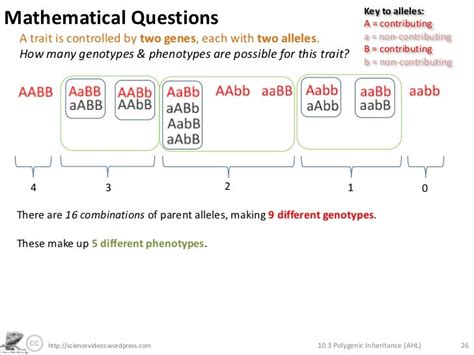 Polygenic Inheritance Ahl