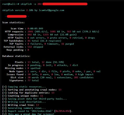 SkipFish Ultimate Weapon Against Cyber Threats Hacker Academy