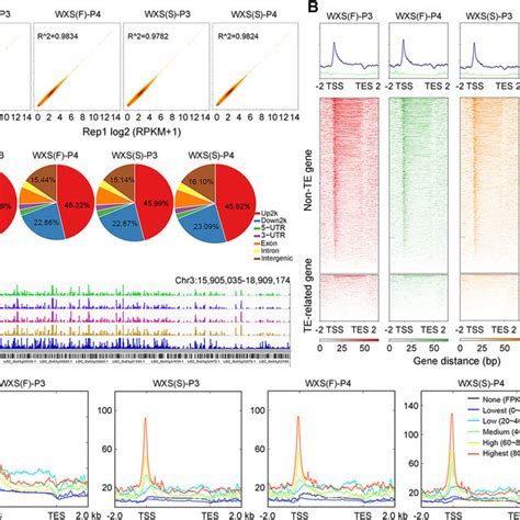 Accessible Chromatin Profiling By Atac Seq And Comparison With Rna Seq Download Scientific
