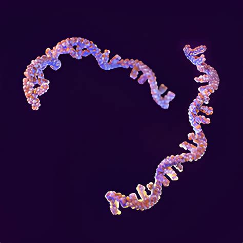 Small Rna Sequencing Srna Seq بیو مجیک ژن Bmg Biotech Small Rna Sequencing Srna Seq بیو مجیک ژن Bmg Biotech