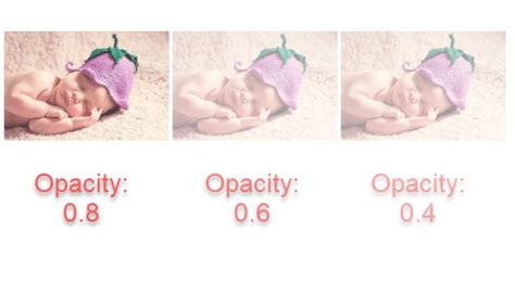 Opacity In An Image Css Tutorial Css Opacity