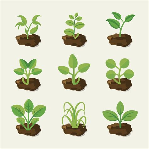 Flowers And Plants Seedling Process Flat Icons Illustration 42679653