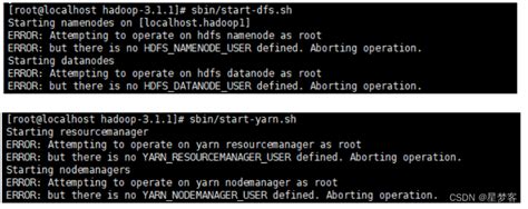 报错there is no hdfs namenode user defined