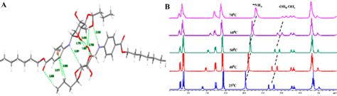 A Optimized Geometry Of G13 Dimer B Partial 1 H Nmr Spectra Of 15