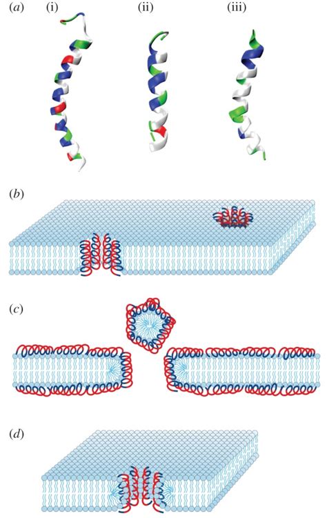 What Can Machine Learning Do For Antimicrobial Peptides And What Can