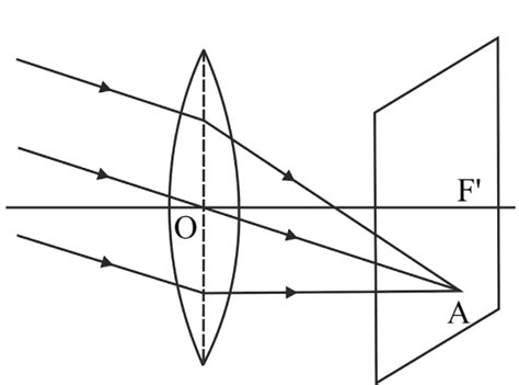 parallel light rays from a distant object falls on a convex lens at