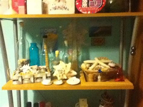 My Shell Shelf