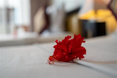 Baleka Resort Hotel And Spa Bali 2024 Updated Prices Deals