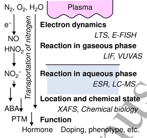 Diagram Showing The Hierarchical Analysis Of The Spatiotemporal