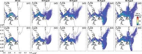 Simulated Chl A Concentrations Depth Download Scientific Diagram