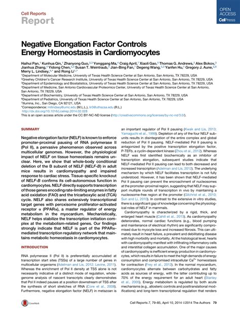 Pdf Negative Elongation Factor Controls Energy Homeostasis In Cardiomyocytes